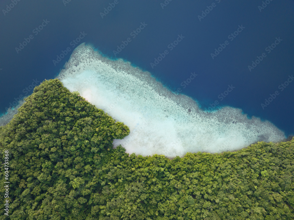 Remote, rugged islands in West Papua, Indonesia, are covered by thick ...