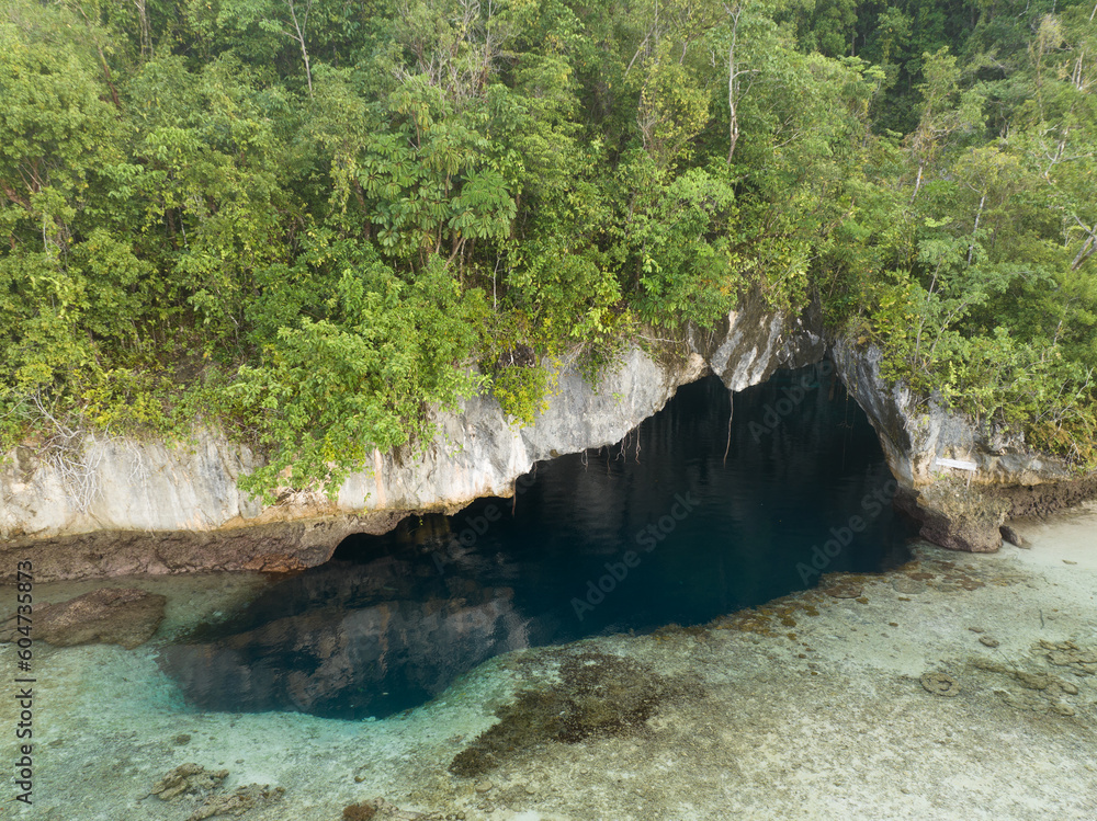 The mouth of a dark, water-filled cave opens on the edge of a forest ...