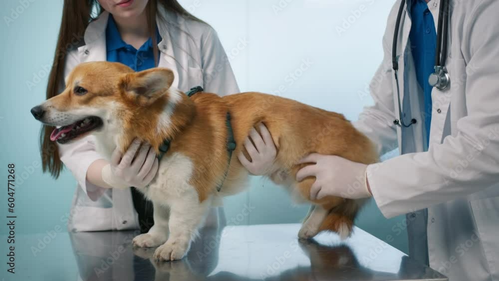 Stockvideon Abdominal cavity check up for tumor or cancer, male ...