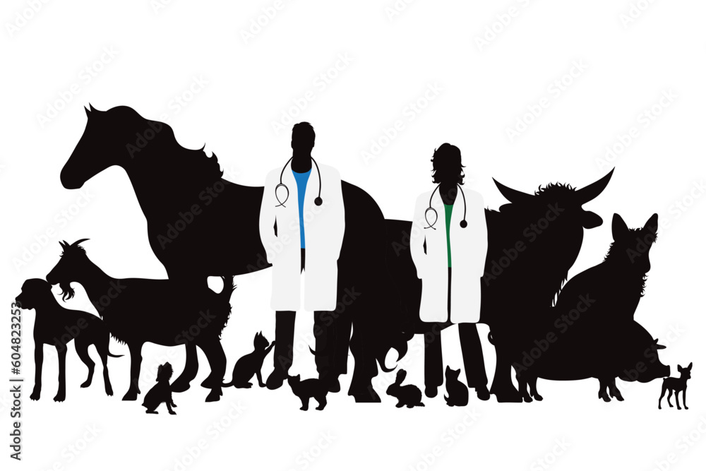 Vector silhouette of veterinary with group of animals on white ...