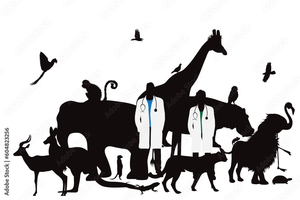 Vector silhouette of veterinary with group of animals on white ...