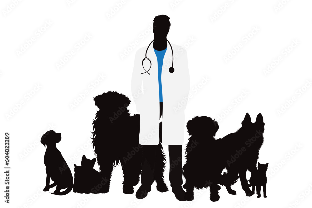 Vector silhouette of veterinary with group of animals on white ...