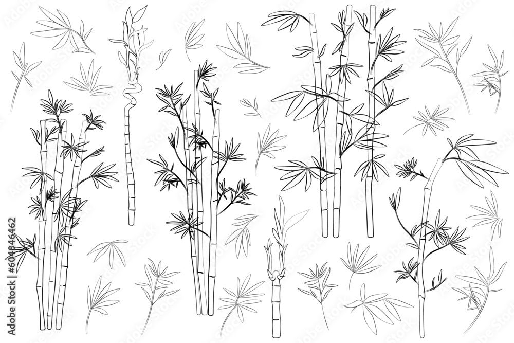 Set of illustrations of bamboo, line art, leaves and branches ...
