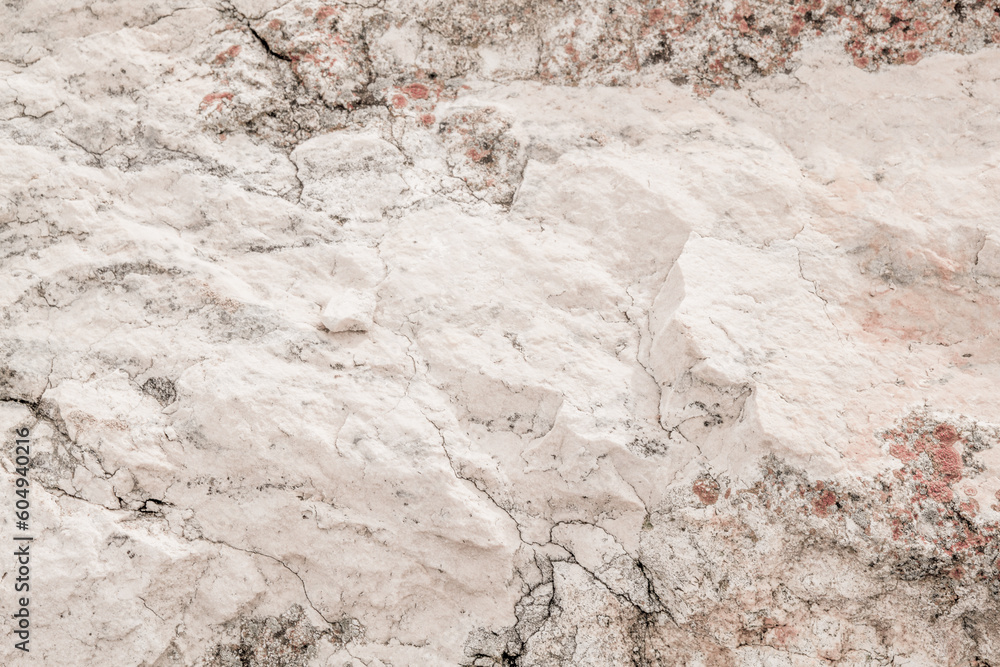 The white texture of the stone is notched and mottled. holes notches ...