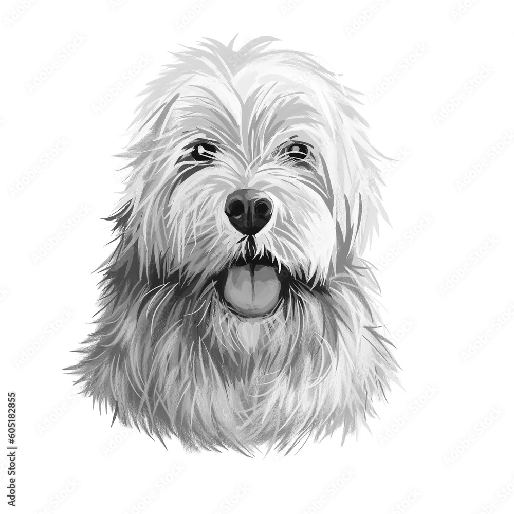 Sapsali dog portrait isolated on white. Digital art illustration of ...