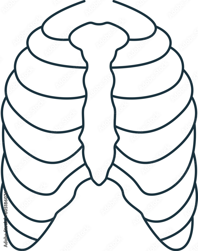 Rib cage icon. Monochrome simple sign from anatomy collection. Rib cage ...