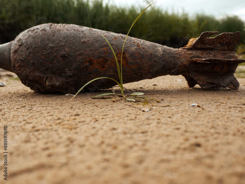 German trench-mortar bomb (water-drop shaped mortar projectile) during ...