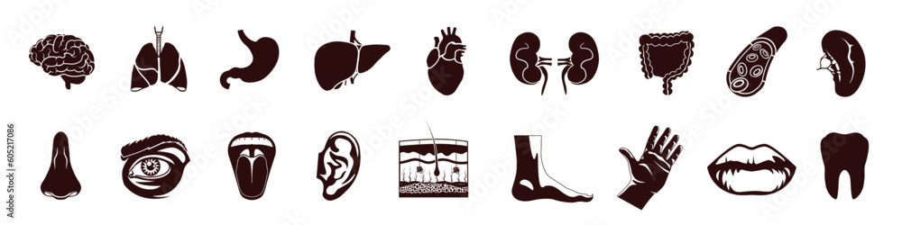 Vetor de Human organs set. Human body anatomy organ icons. Silhouette ...