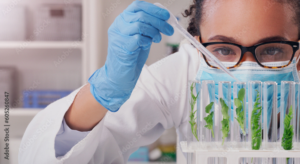 Science, sample and plant with woman in laboratory for medical ...
