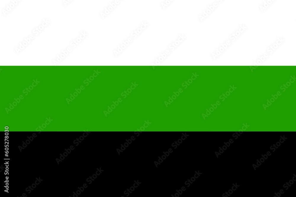 Neutrois Pride Flag. People who identify as gender neutral Stock Vector ...