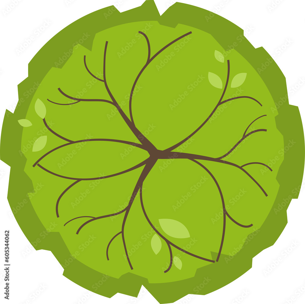 Tree or plant top view for landscape design. Icon colored tree for ...