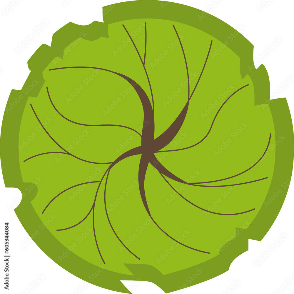 Tree or plant top view for landscape design. Icon colored tree for ...