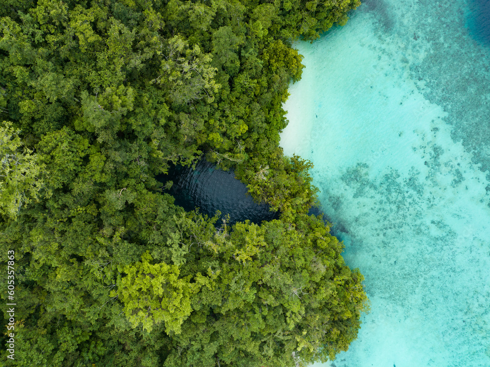 The collapsed roof of a dark, water-filled cave opens into a forest ...