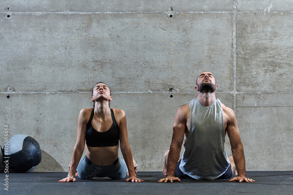 An attractive couple in the gym engaging in various stretching ...