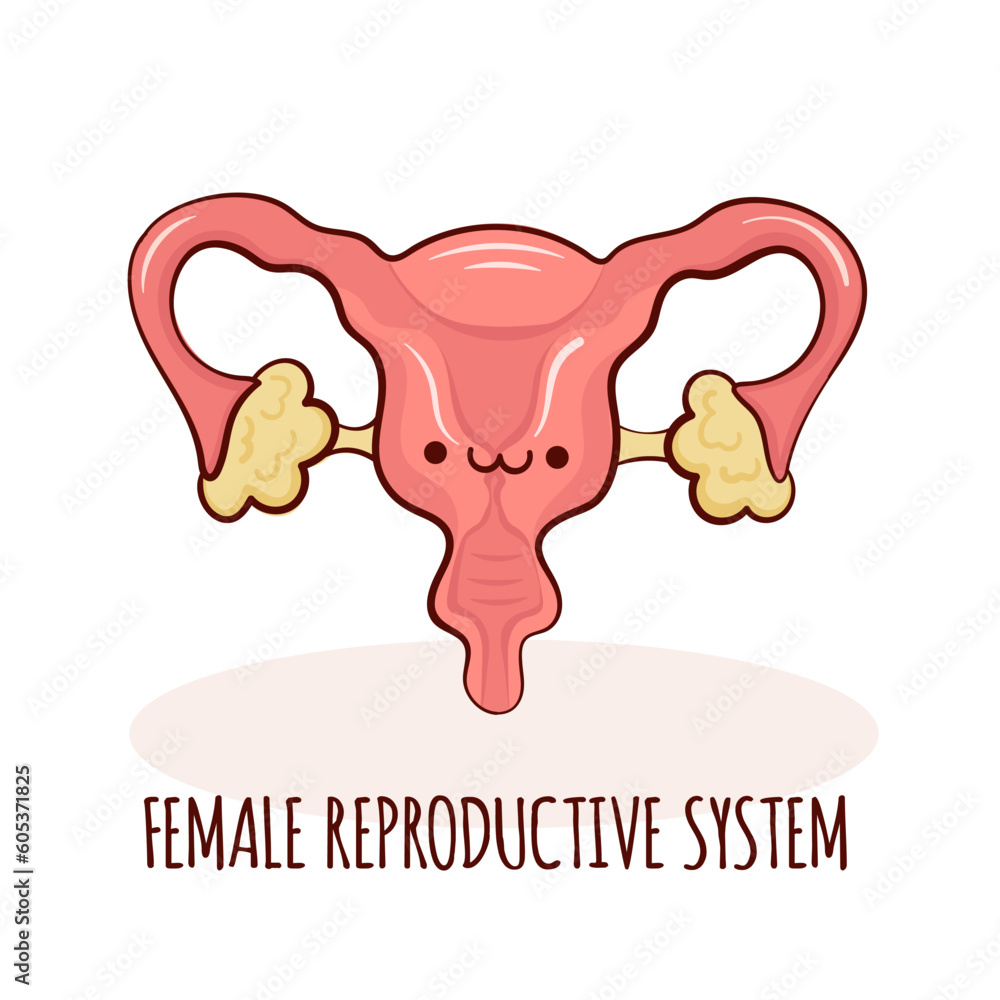Female reproductive system character, cartoon mascot with funny face ...