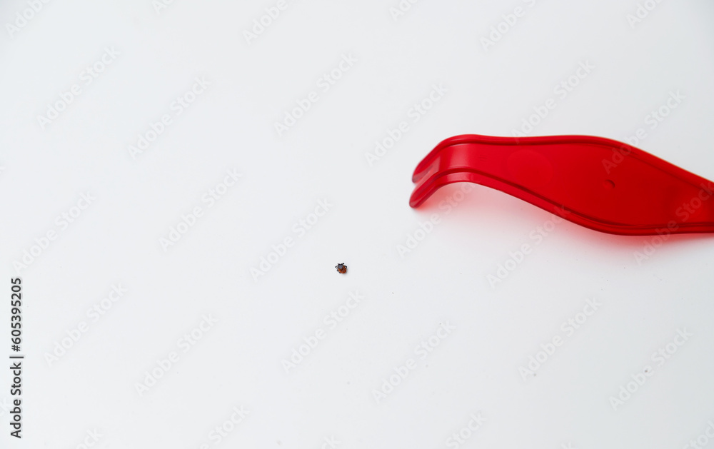 tick hook on a white background along with an extended tick. animal ...
