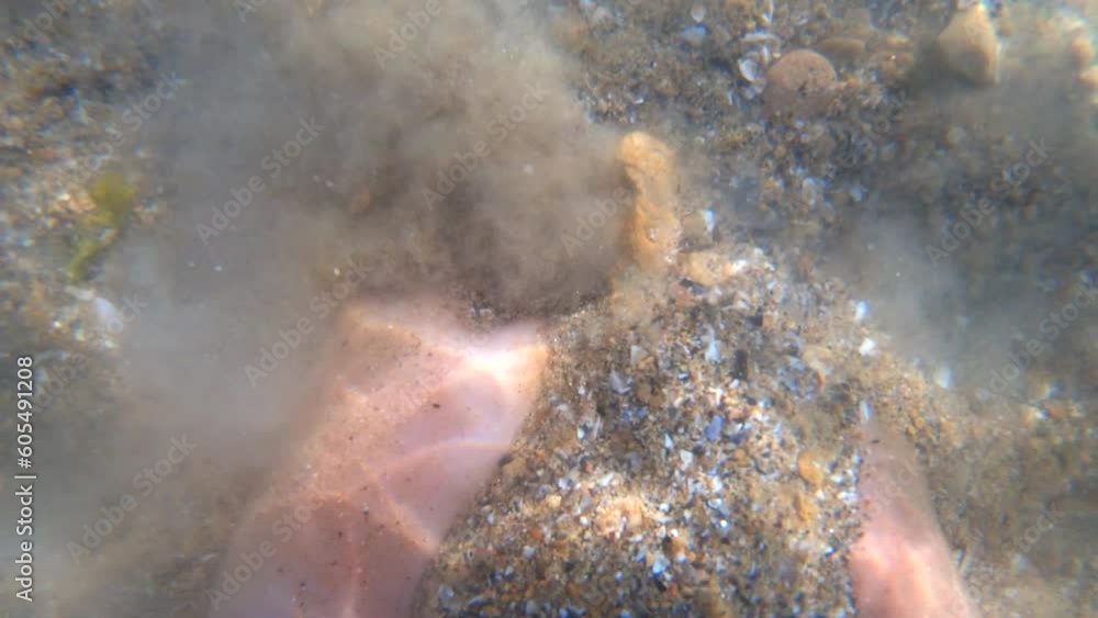 Woman standing barefoot on sand underwater and digging her feet into ...
