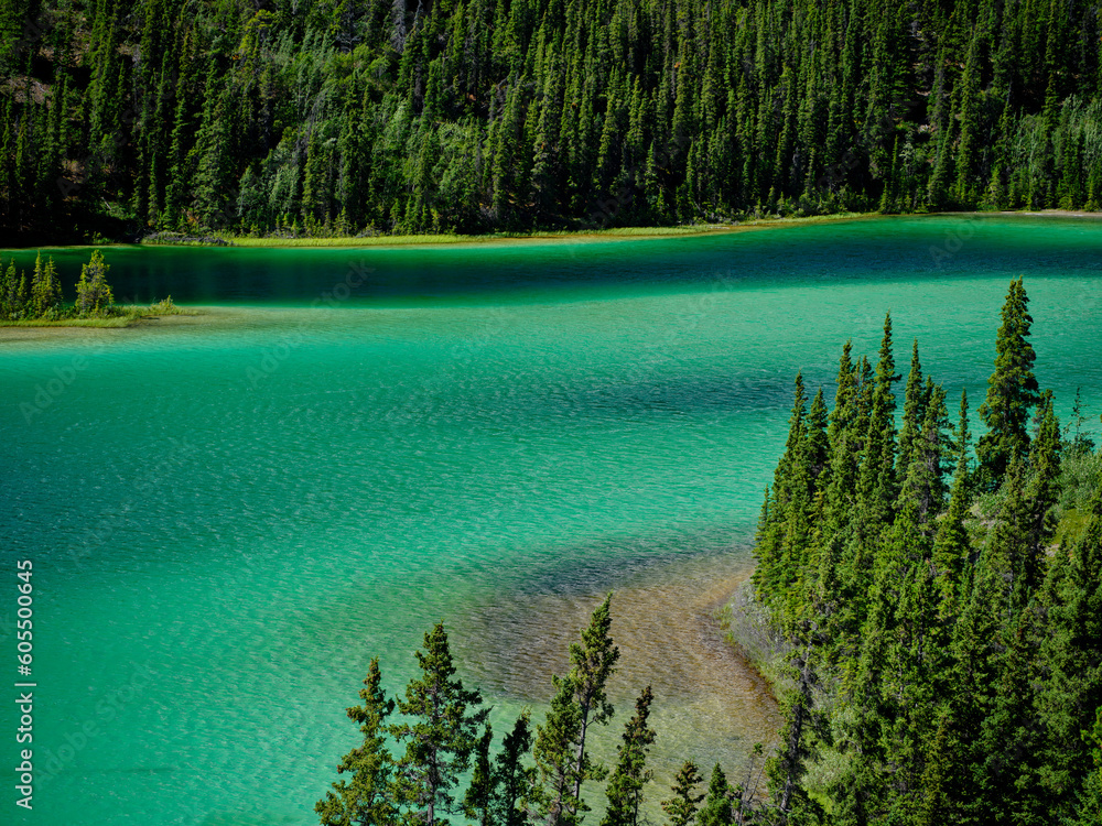 The Glacial silt laden Emerald lake near Carcross Yukon Territory ...