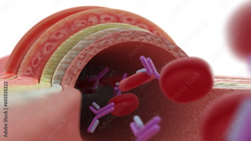 Antibodies Discovered By Scanning Vein For Blood Circulation ...