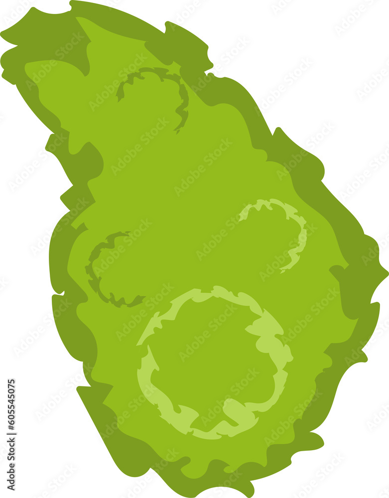 Tree, bush top view for architectural and landscape design. Colored ...