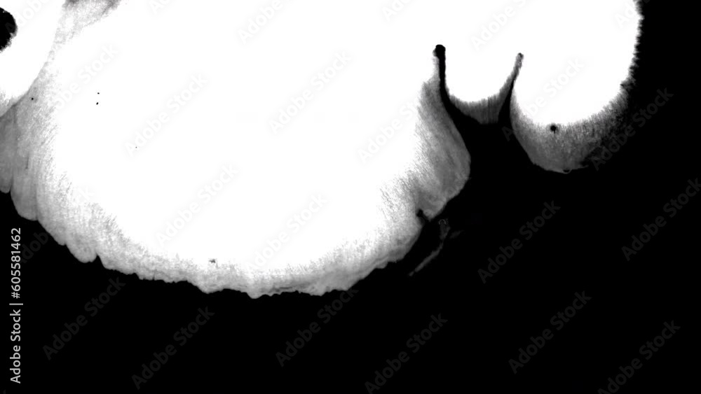 ink splatter splat blot splash stain of white paint abstract animation ...