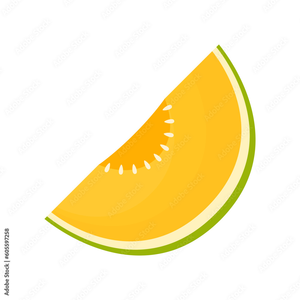 Melon vector. melon on white background. wallpaper. logo design. Stock ...
