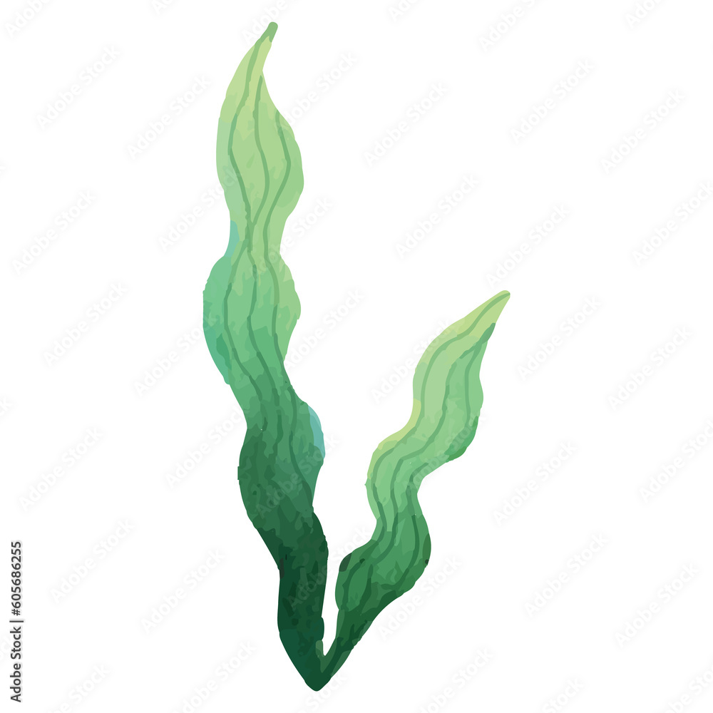 Seaweed Under The Sea Clip art Element Transparent Background Stock ...