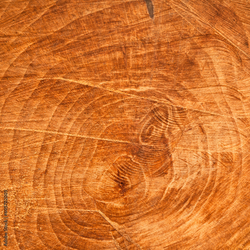 Chainsaw cut oak wood texture, sawn wood texture Stock Photo | Adobe Stock