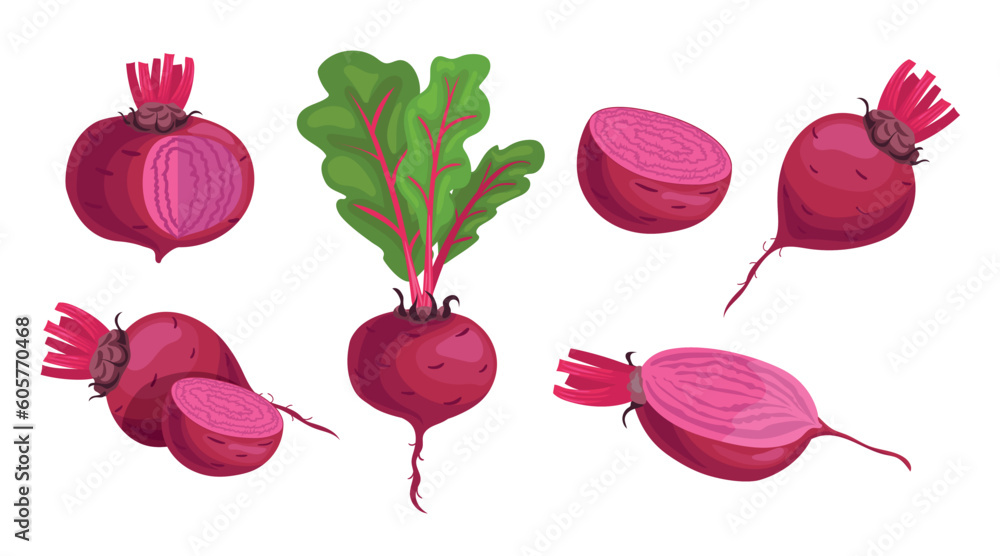 Ripe beets set in cartoon style. Whole, halves, slices and leaves ...
