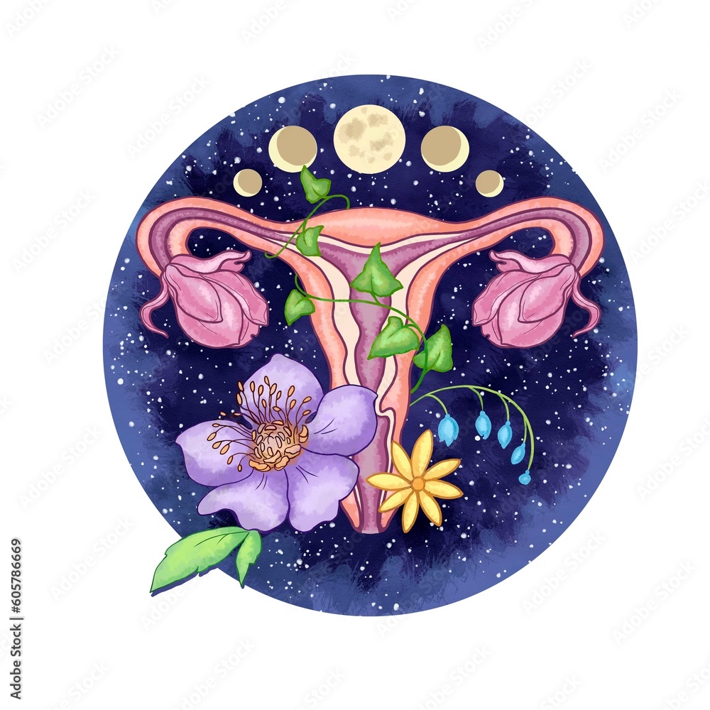 Female reproductive organs, uterus and ovaries with flowers and moon in ...