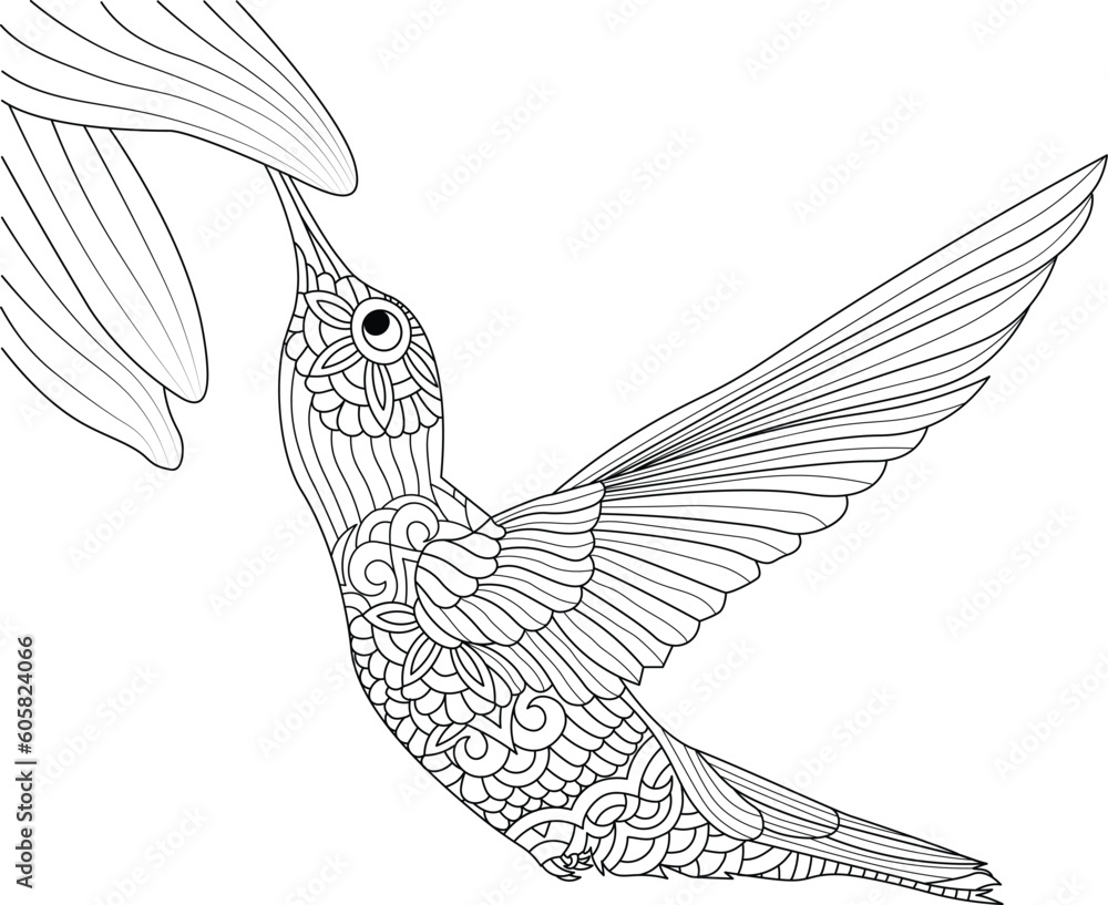 Hummingbird hand-drawn coloring page for stock vector with some floral ...