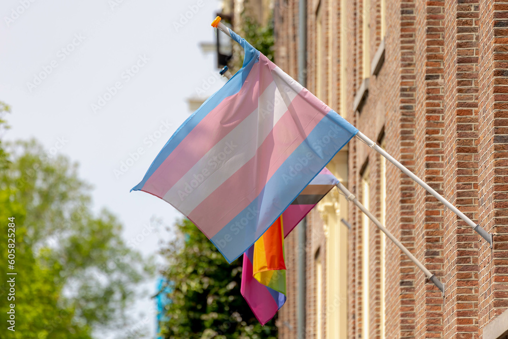 Celebration of pride month in Amsterdam, Transgender flag (Blue, Pink ...