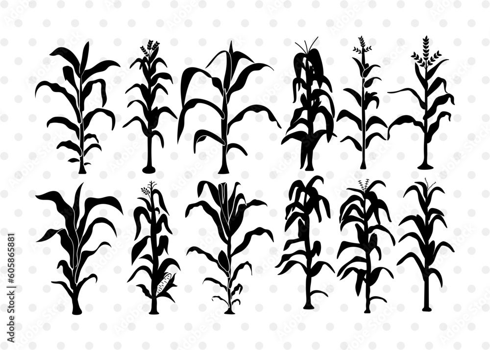 Corn Stalk SVG, Corn Stalk Silhouette, Corn Tree Svg, Corn Svg, Corn ...