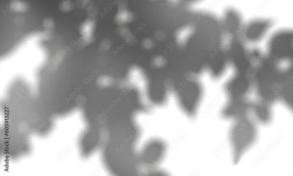 Shadow overlay effect transparent background. Abstract sunlight ...