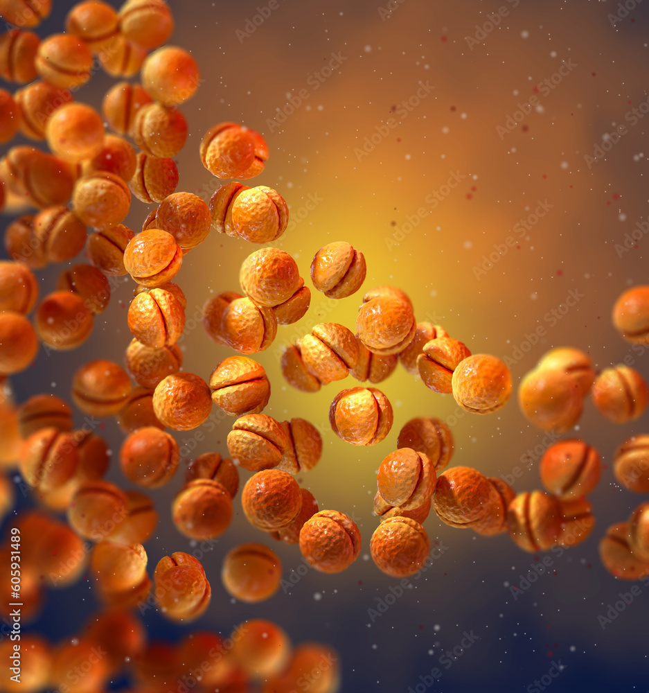 Medical background, genus of bacteria from the Neisseriaceae family ...