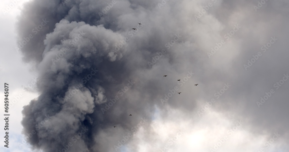 Movement of a large cloud of toxic smoke in the sky. Birds fly in the ...