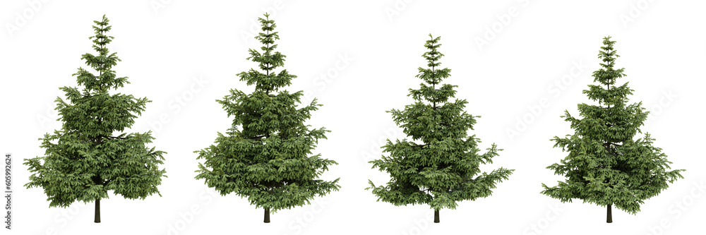 Conifer trees on transparent background, pine tress, garden plant, 3d ...