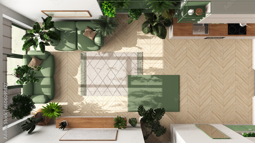 Love for plants concept. Minimal modern living room and kitchen ...