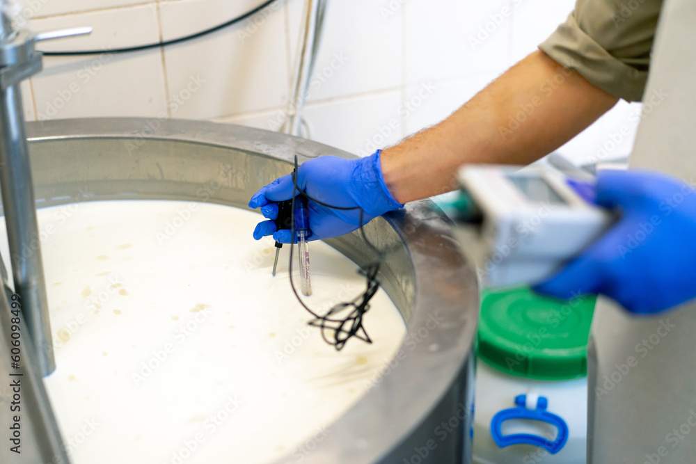 An employee measures the temperature of milk being pasteurized in a vat ...