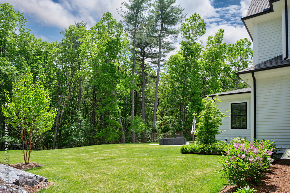 Back garden of a suburban home with the woods behind and Spring flowers ...