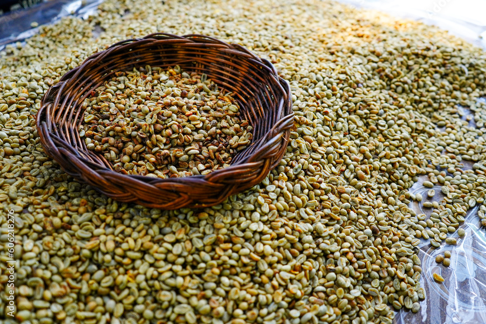 background coffee bean sorting process arabica coffee bean sorting ...