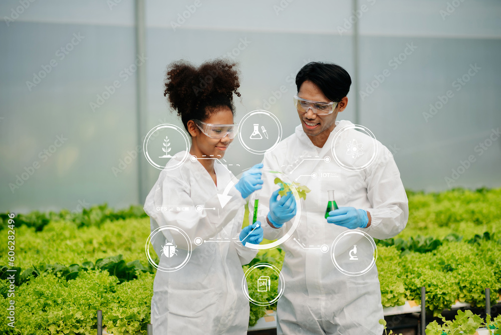 Researcher in white uniform are checking with ph strips in hydroponic ...