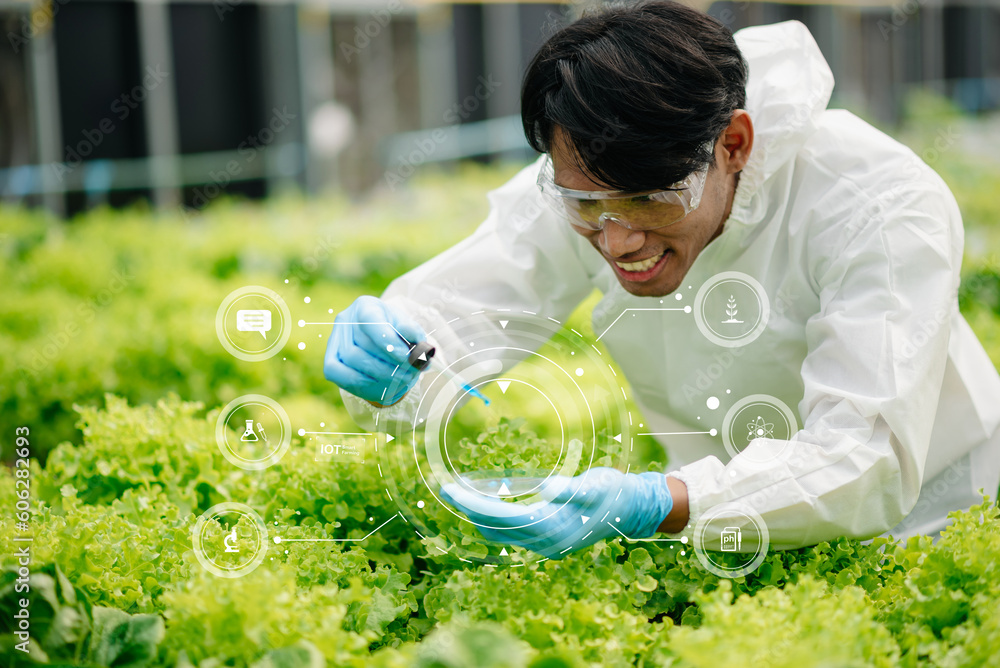 Researcher in white uniform are checking with ph strips in hydroponic ...