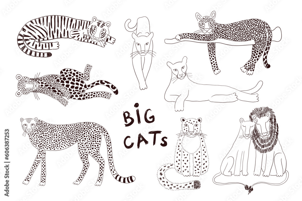 Big cats isolated collection, black white. Lion, tiger, leopard, jaguar ...