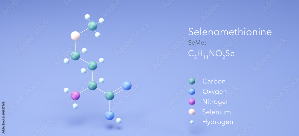ภาพประกอบสต็อก selenomethionine molecule, molecular structures, semet ...