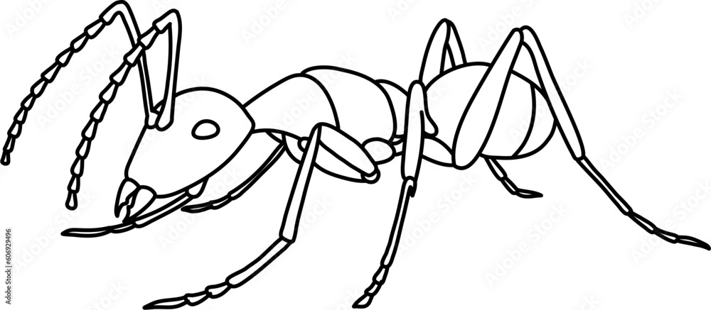 Ant Outline Illustration Animal Vector Stock Vector | Adobe Stock