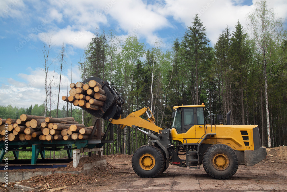 Loading logs with a special loader.Timber products warehouse on a ...