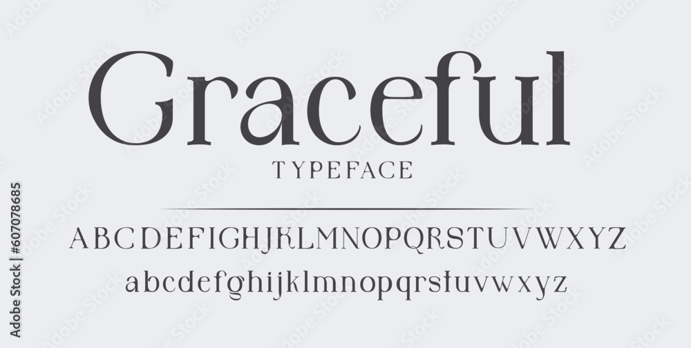 Vector typeface. Elegant font uppercase and lowercase.Ideal for headers ...