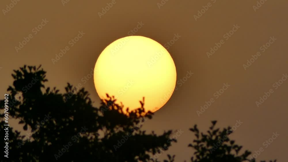 Brown sky, moving orange sun suring sunset, Atmospheric refraction ...