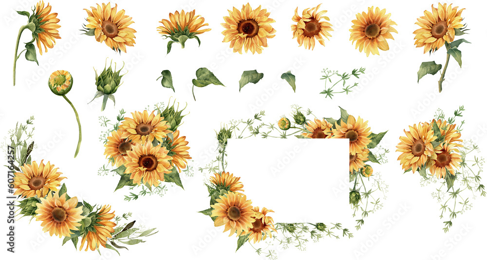 Sunflower clip art. Watercolor floral illustration. Frame and bouquet ...
